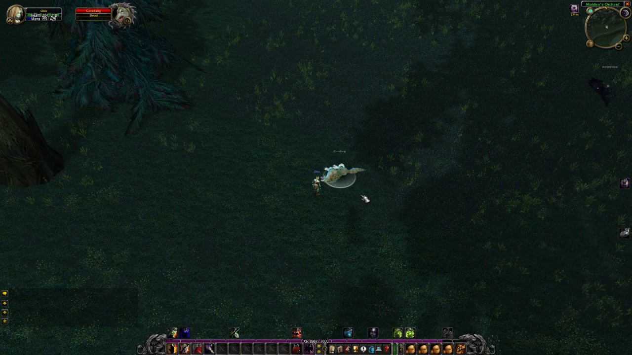 Gorefang (Rare), Silverpine Forest, WoW Classic - YouTube