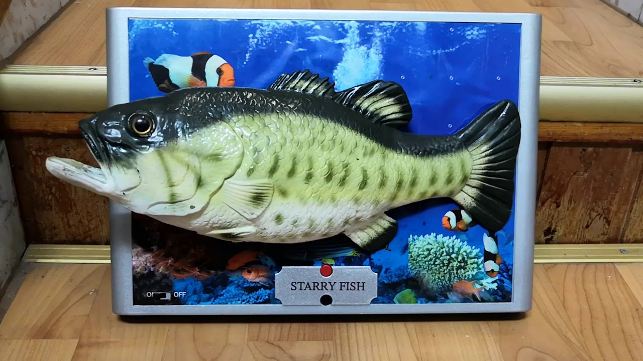 Starry fish - YouTube