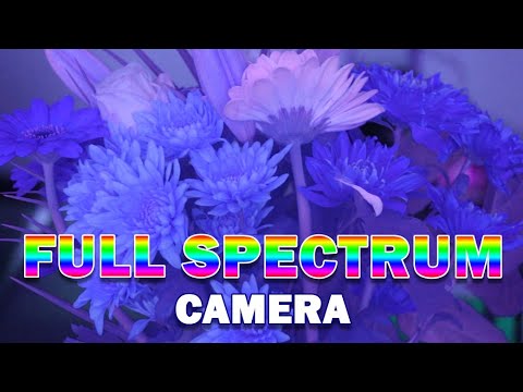 Full Spectrum Camera vs Normal Camera. How They See the World ...