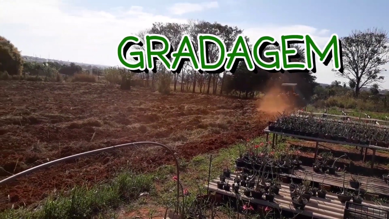 Operação de aração e gradagem. - YouTube