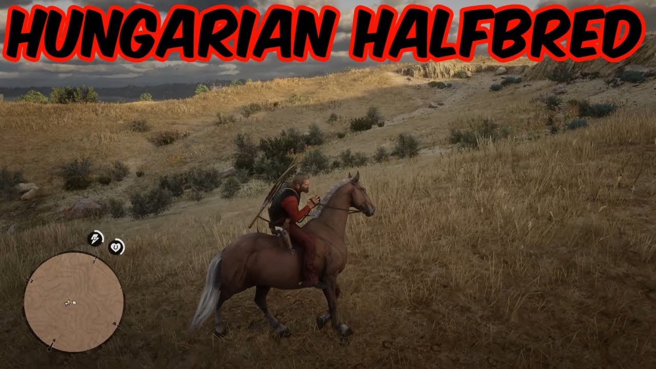 Hungarian Halfbred location RDR2 - YouTube