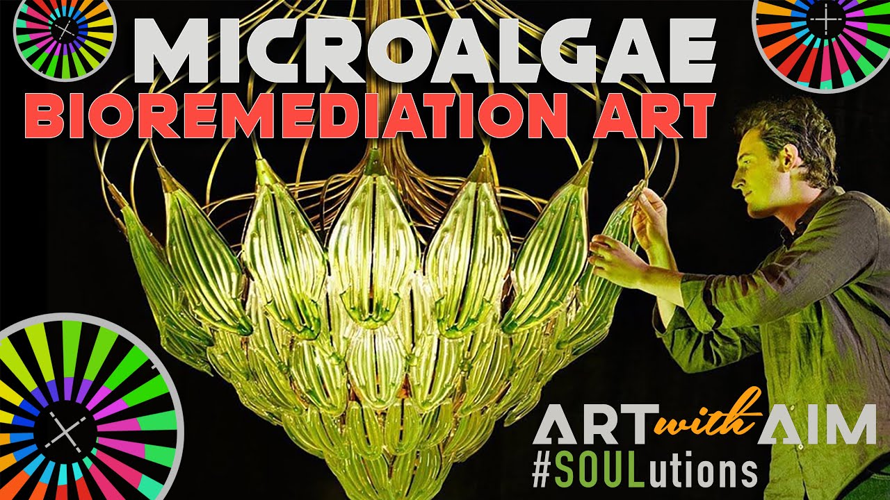 Microalgae: Bioremediation Art - YouTube
