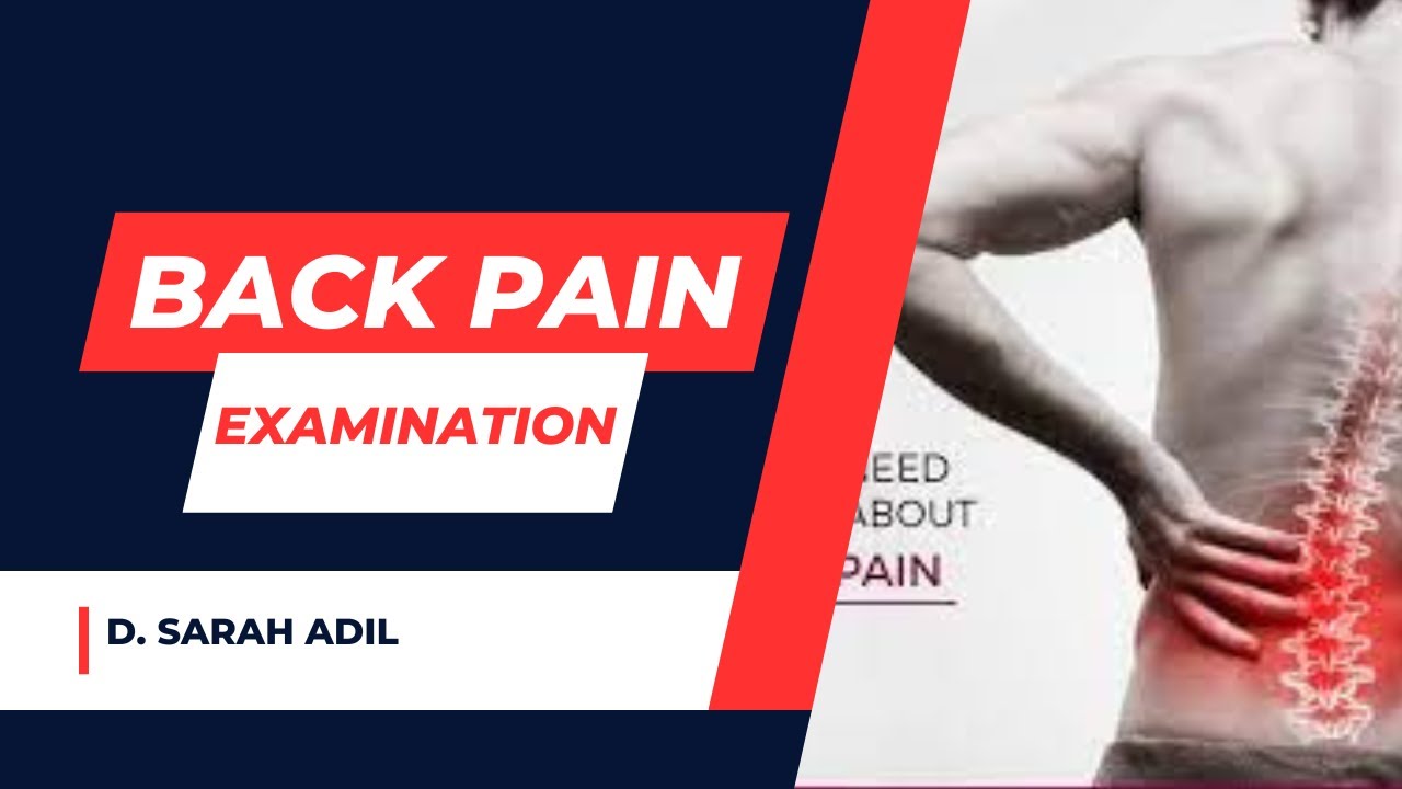lower back pain examination - YouTube