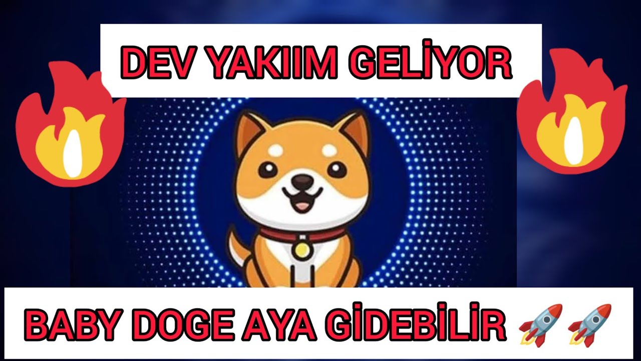Baby Doge Son Dakika ! Baby Dogecoin yorum ? Baby Doge Geleceği ? Baby Doge Dev Yakım 🔥🔥 - YouTube