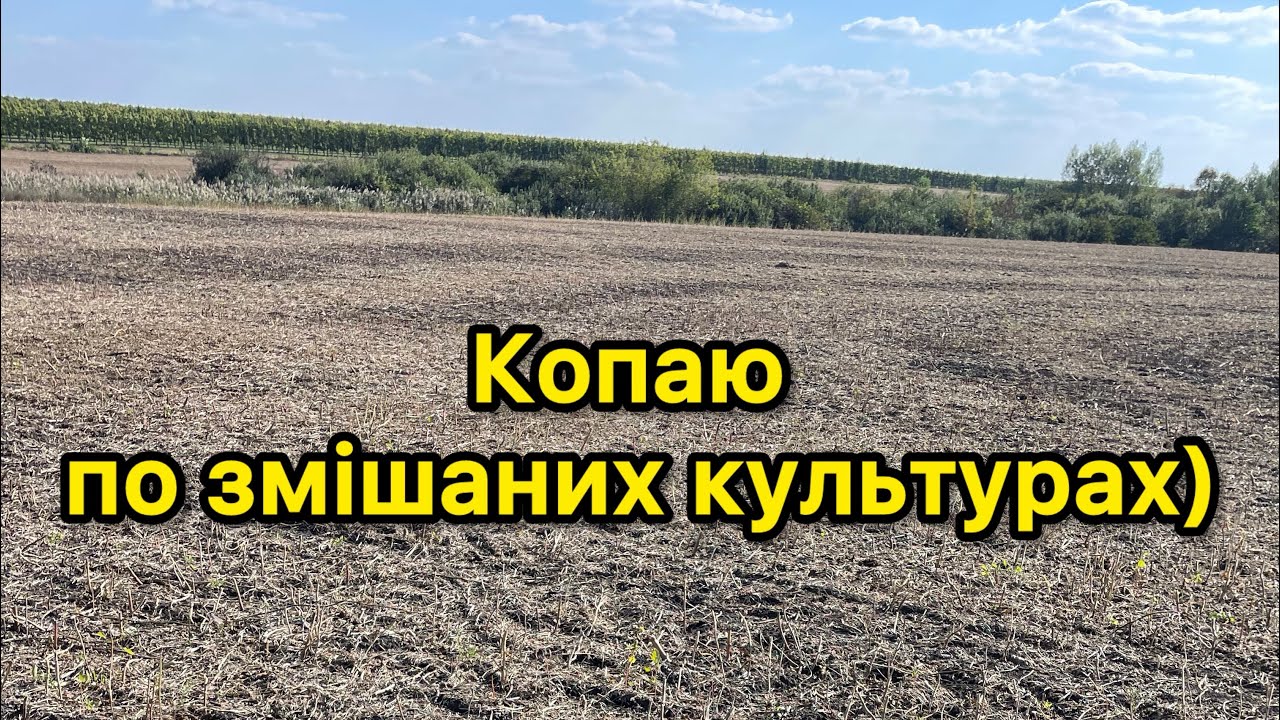 Неймовірний вихід з МД Знахідок повна лопата Youtube