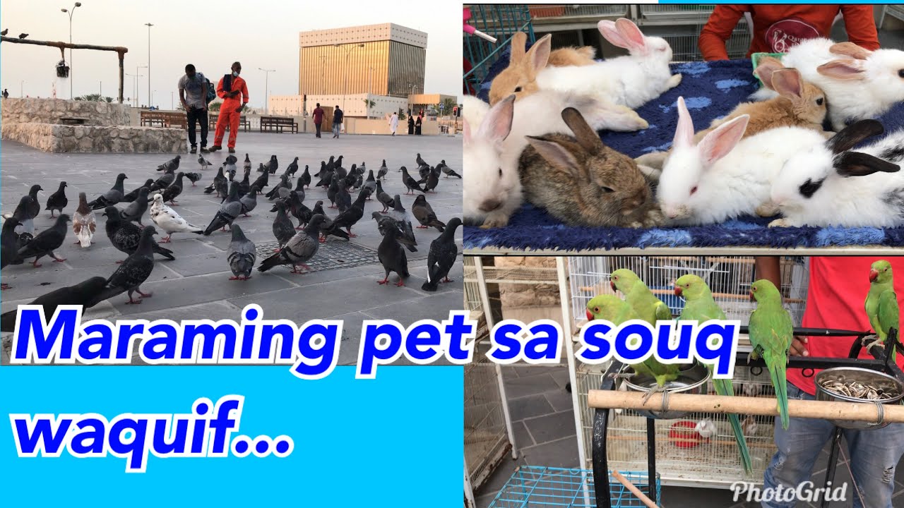 vlog 8: gumala sa souq waquif at bumili ng gamit pangisda... - YouTube