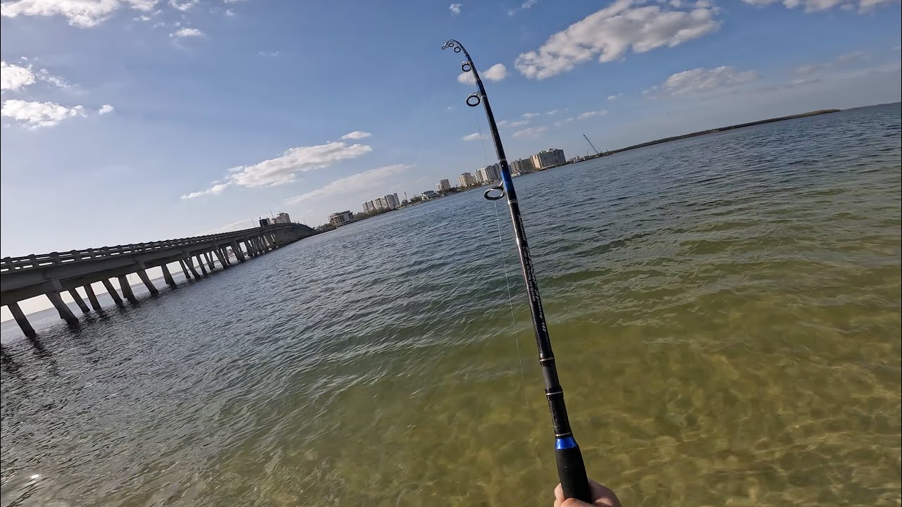 Surf Fishing for Sharks (Searching for Species 100) - YouTube