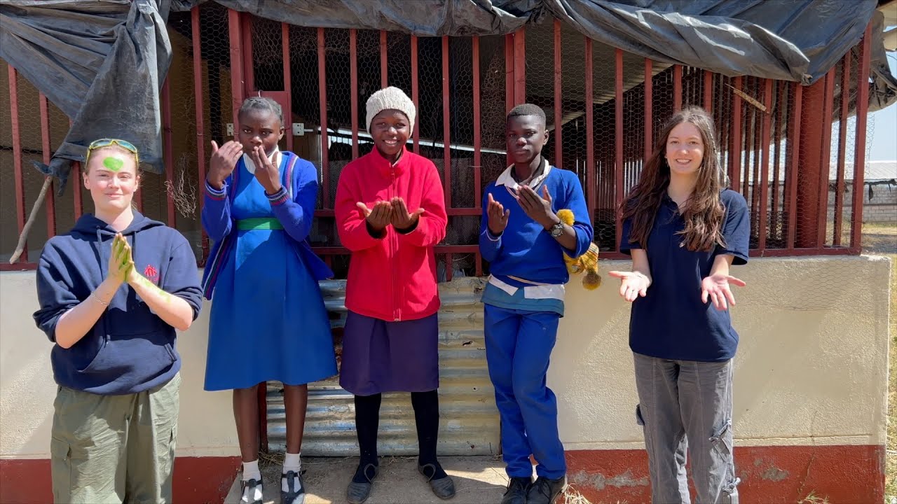 SHARE - Flamboyant School Chicken Project - YouTube