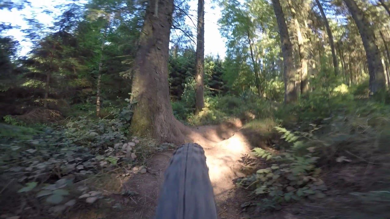 Rowberrow Warren/Ride Mendip - Yee Haw trail 2020 - YouTube