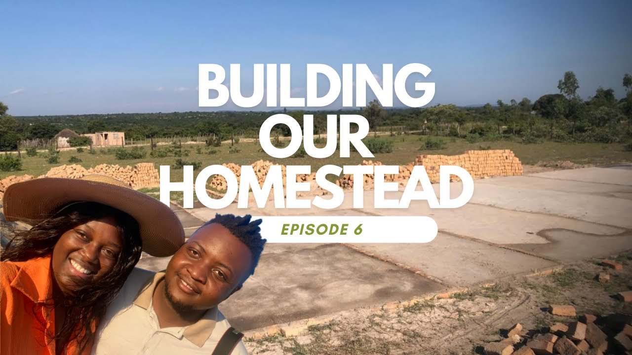 #06 Building our homestead in Zimbabwe update #villagevlog #kumusha ...