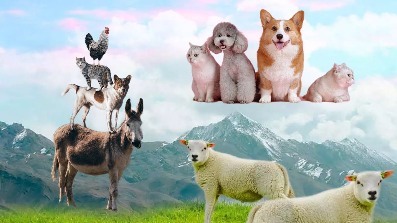 animal and their young ones || animal babies || cute animals baby ...