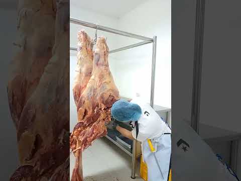 Deboning Hind Quarter of Beef #butcher #butcherlife #ladybutcher #australia