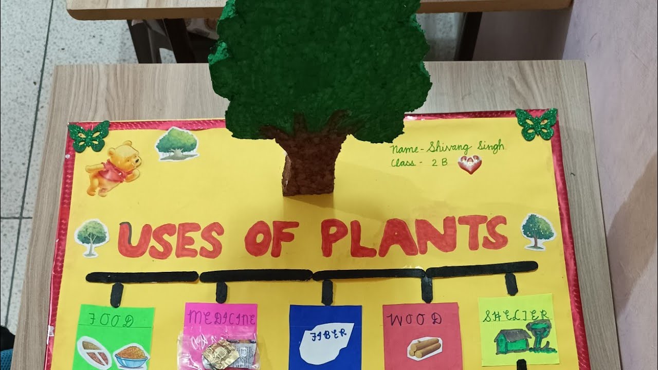 Uses Of Plants - Class 2 Science Project 🌳| Like, Share & Subscribe ...