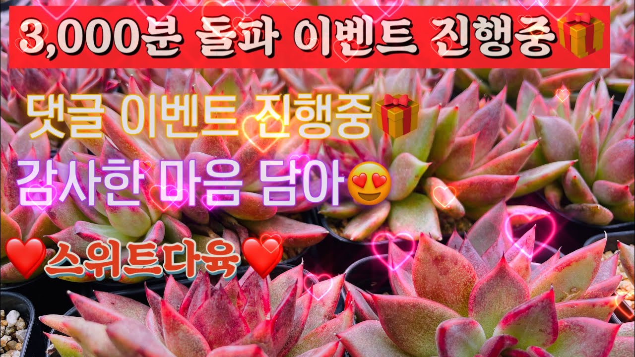 ๐3์ฒ๋ช
 ๋ํ๊ธฐ๋
 ์ด๋ฒคํธ๐๋๊ธ ์ด๋ฒคํธ์ค๐์ด 45๋ง์ ์๋น์ ์ ๋ฌผ๐์ค์ํธ๋ค์ก๋ค์ก๋ค์ก์ด๋ค์ก์๋ฌผ๋ค์ก์๋ฌผํค์ฐ๊ธฐ