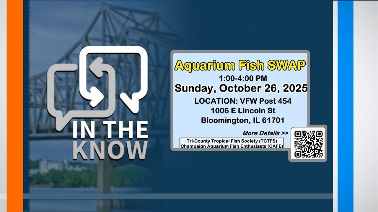 Making a Splash with the Fall Fish Swap! - YouTube
