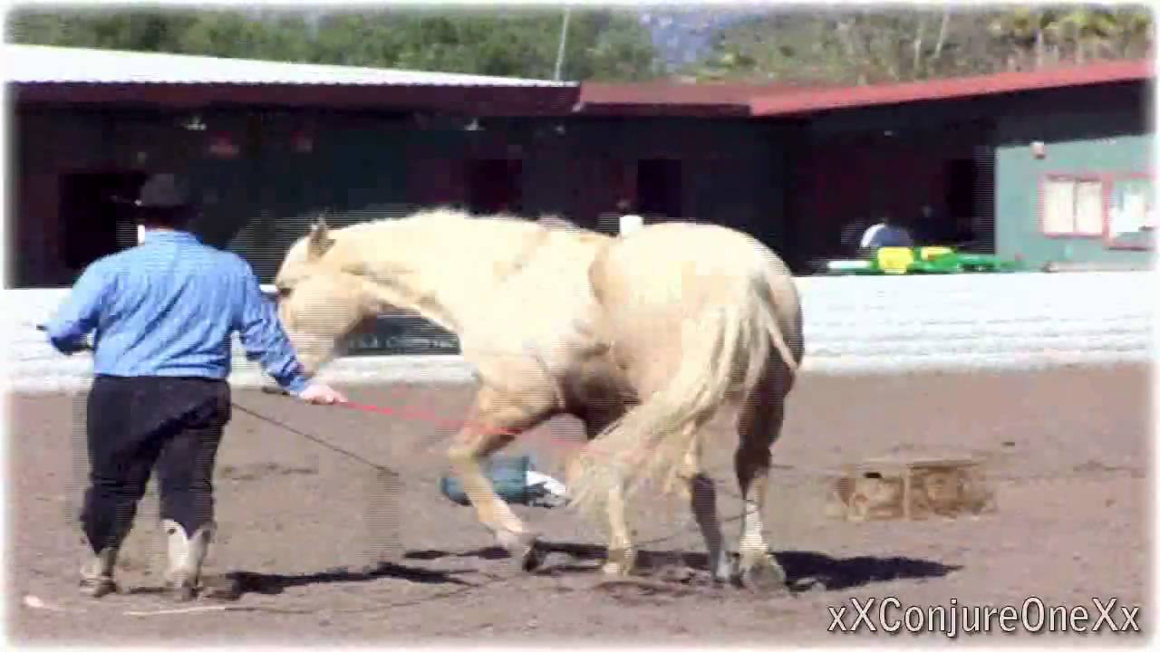 Equine Affaire (Pomona) 2009 - Rex Peterson. [Day One-Outdoor Session ...