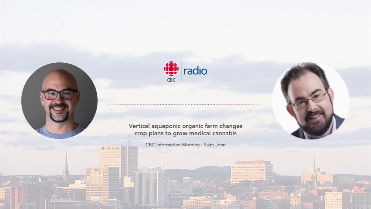 Tanner Stewart, CEO of Stewart Farms interviewed by CBC New Brunswick ...