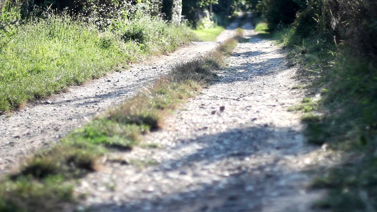 Dirt road - Free HD stock footage - YouTube