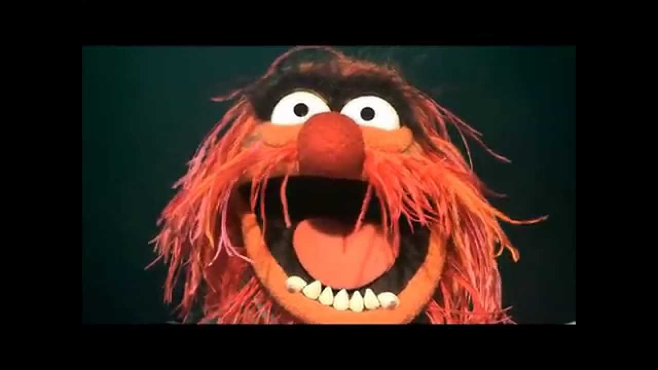 Queen vs The Muppets-Dont Stop me now-video edit.. - YouTube