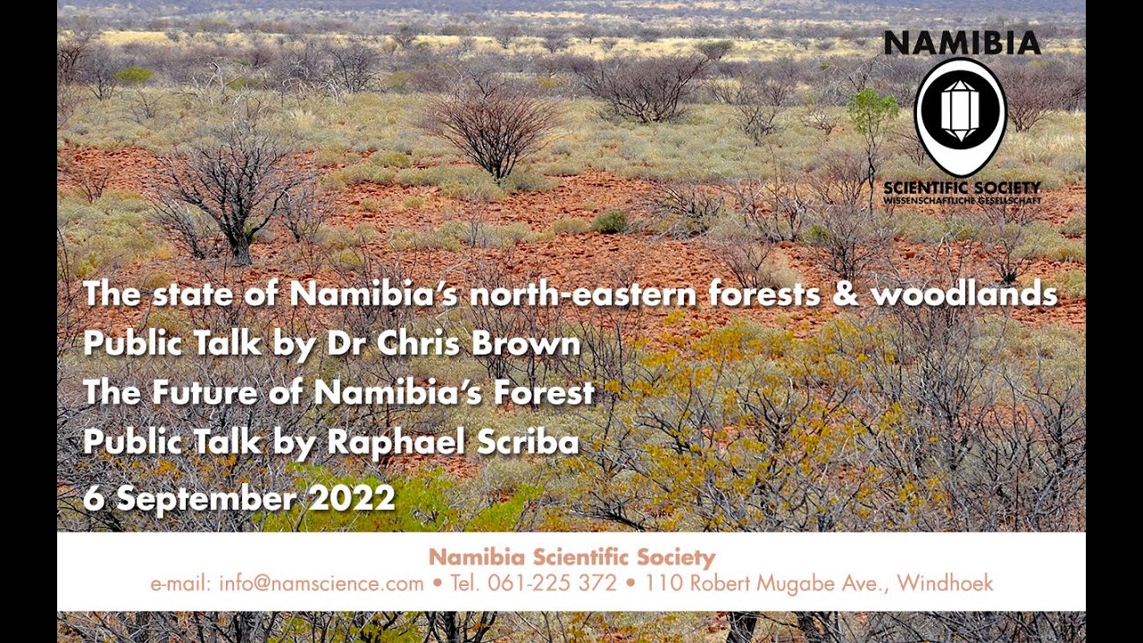 Presentations on Namibia’s forests by Dr Chris Brown and Dipl. Des ...