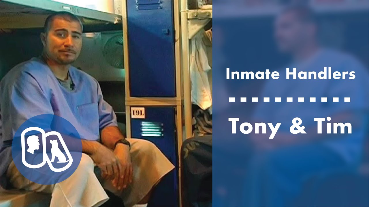 Inmate Handlers Tony and Tim - YouTube