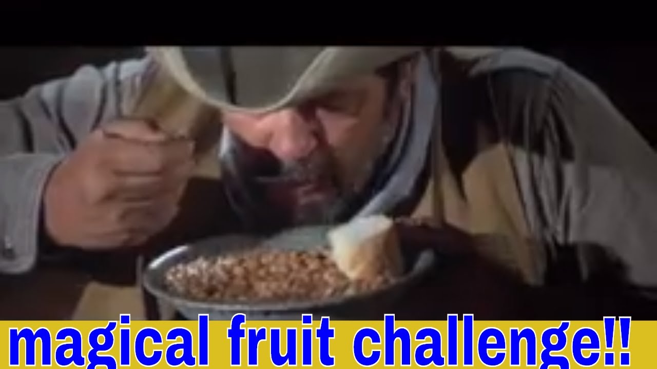 BUMBLE BEE JUNCTION/MAGICAL FRUIT CHALLENGE!! - YouTube