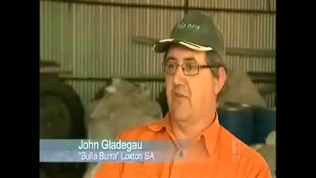 Agfarm discussing grain marketing on ABC's Landline - YouTube