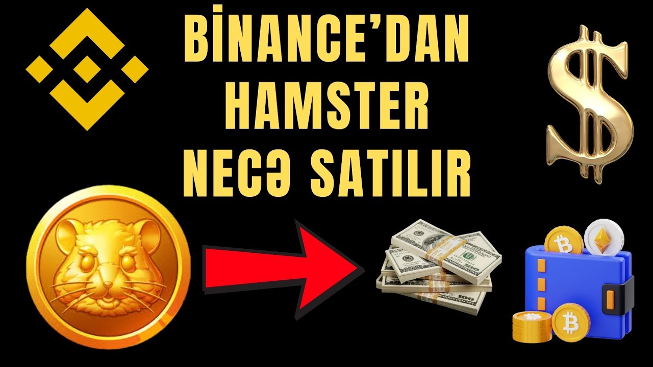 Binance’da Hamster Kombat Coinlər Necə Satılır - YouTube