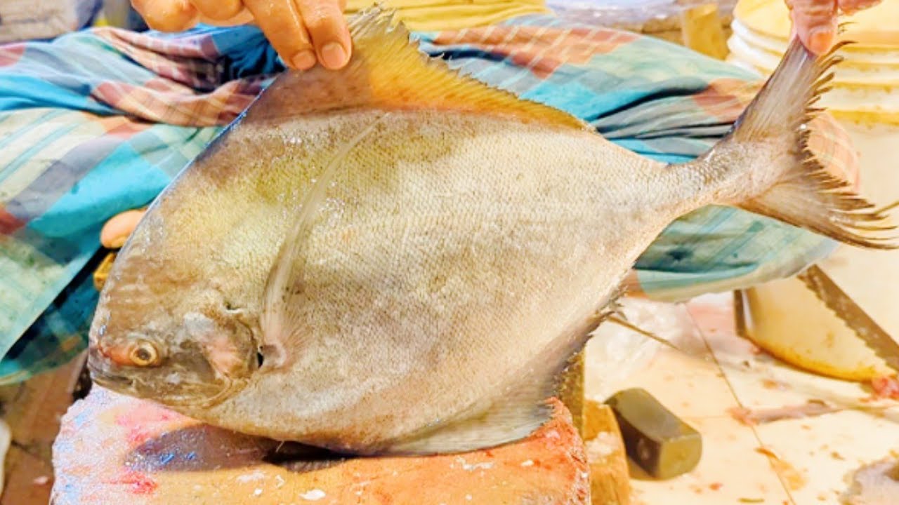 Amazing Pomfret Fish Cutting Skill Live In Fish Market | Fish... - YouTube