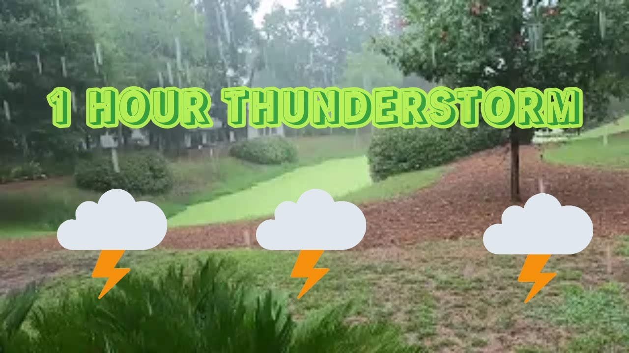 Lazy South Carolina Summer Storm with Thunder and Gators! ⛈🐊⛈🐊⛈🐊 #sleep ...