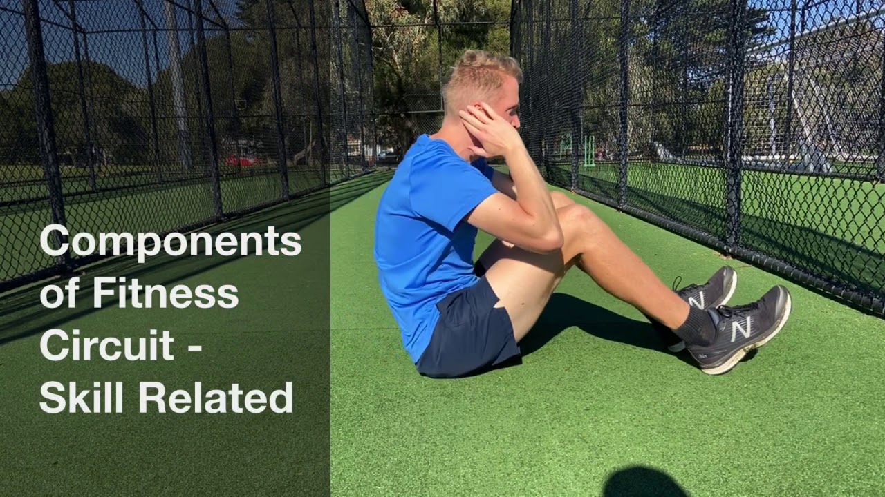 Components of Fitness Circuit - YouTube