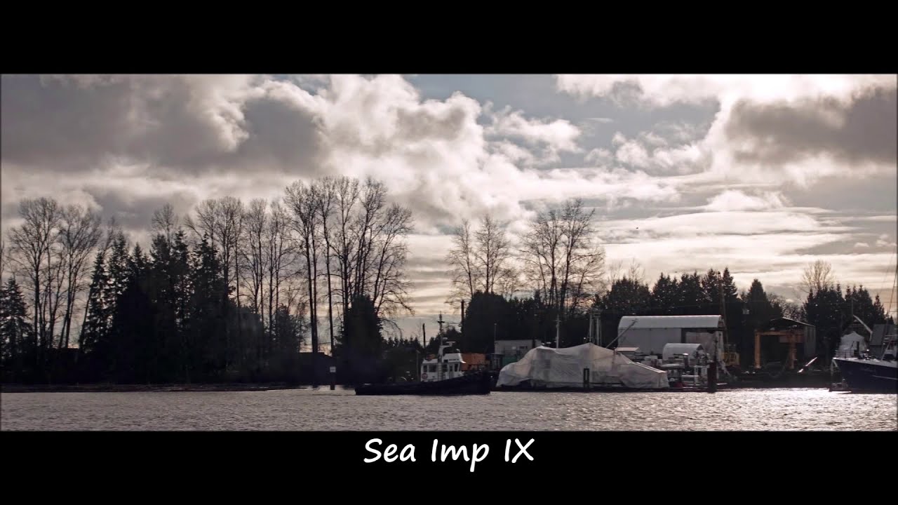 Ocean Warlock, & Sea Imp IX, 2020 - YouTube