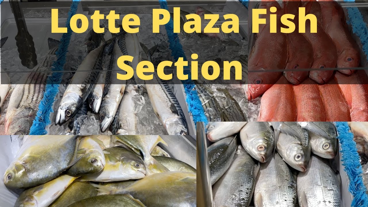 Fish Section in Lotte Plaza || Asian Market || MSR Vlogs in America ...