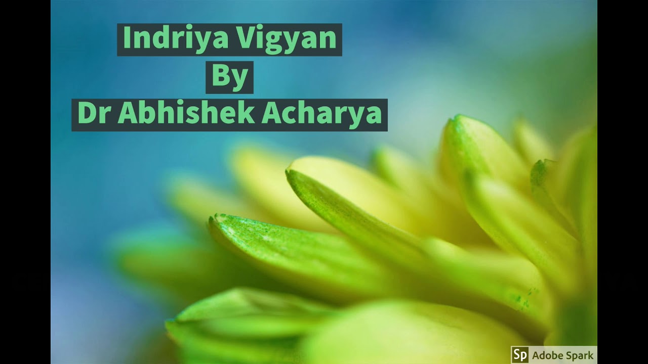 Indriya Part 2 Centres of Sense organs and Srotrendriya - YouTube
