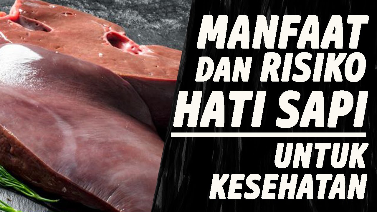 MANFAAT HATI SAPI BAGI TUBUH - DAN RESIKONYA | MANFAAT HATI SAPI - YouTube