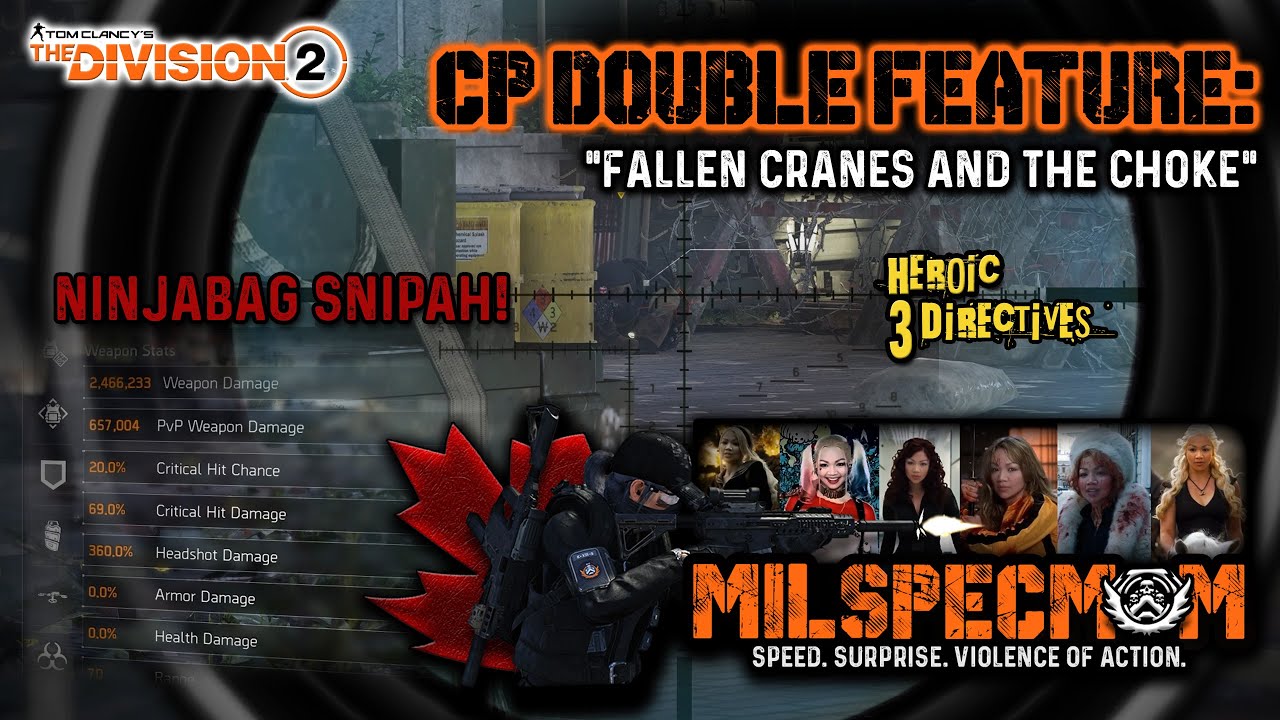 The Division 2 | CP DOUBLE FEATURE: Fallen Cranes & The Choke | Heroic ...
