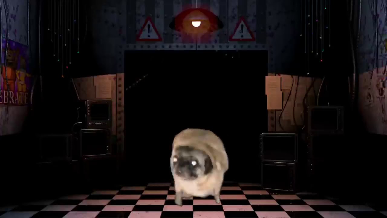 Pug bailando con la música de fnaf 2 meme | sebagamertag70 - YouTube