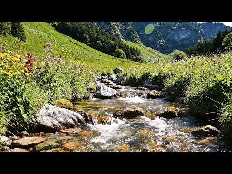 Dere Sesi Rahatlama Huzur Veren Manzara (Reklamsız)