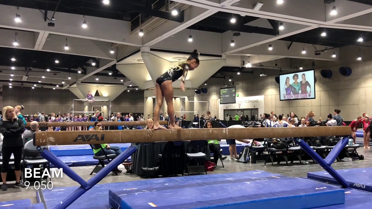 Keira’s level 7 gymnastics meet. floor score 9.875 SCEGA CAL CLASSICS ...