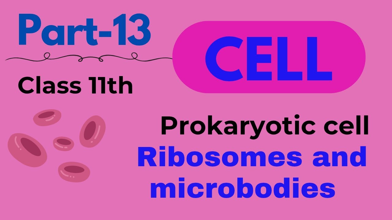 Cell-unit of life- Eukaryotic cells - ribosomes and microbodies ...