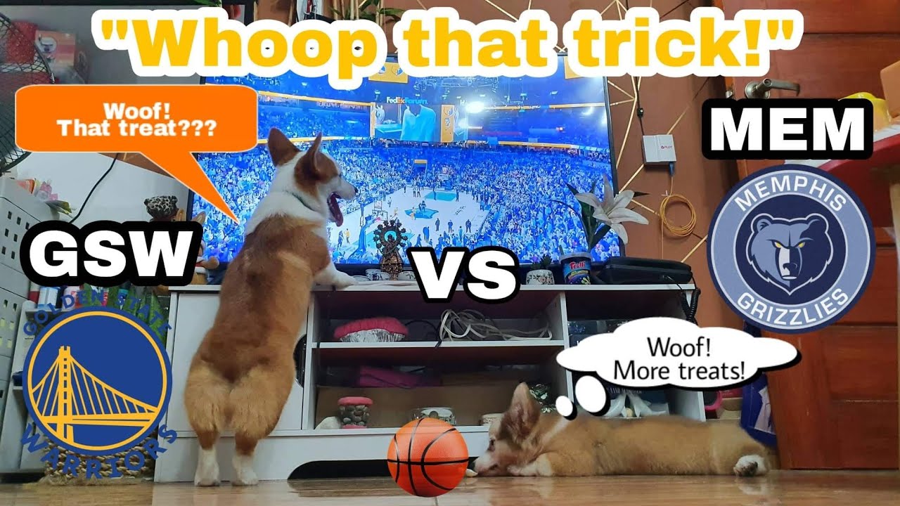 WHOOP THAT TRICK or WOOF THAT TREAT? | GSW vs MEM game 5 | FERRERO & NUTELLA The Corgis - YouTube