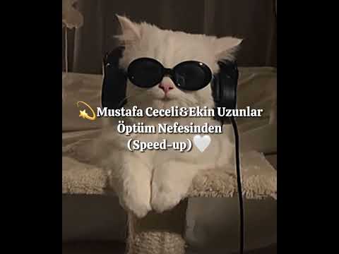 Mustafa Ceceli & Ekin Uzunlar Öptüm Nefesinden (Speed-Up)