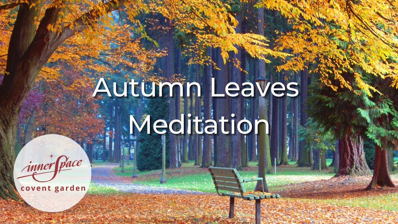 Autumn Leaves | Guided Meditation - YouTube