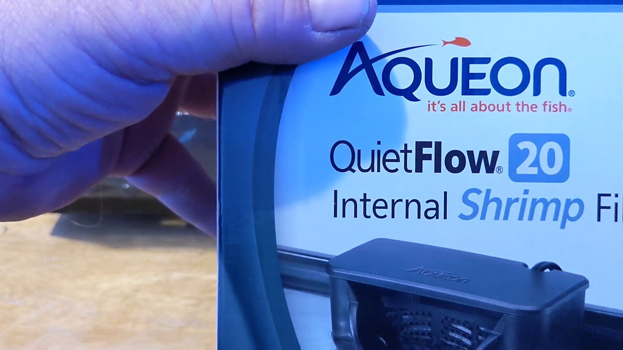 Aqueon 8.75 gallon nano shrimp designer led tank - YouTube