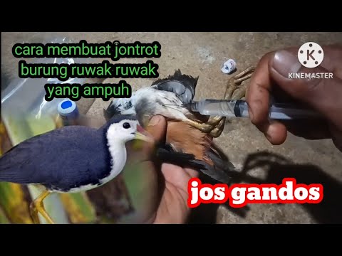 Amazing tutorial cara membuat patung mumi atau Jontrot ruwak2 yang ...