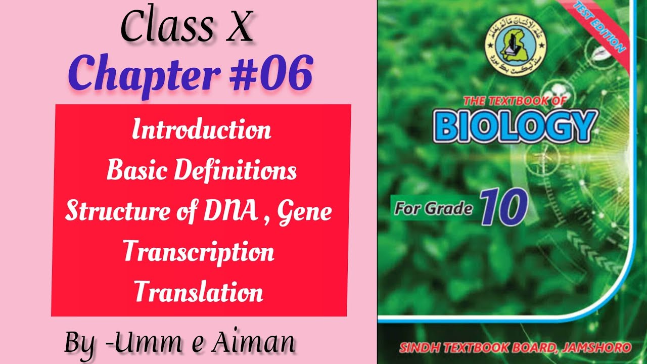 Chapter #06 - Inheritance -Class X -Sindh board -Lecture Part 01 -By Umm e Aiman - YouTube