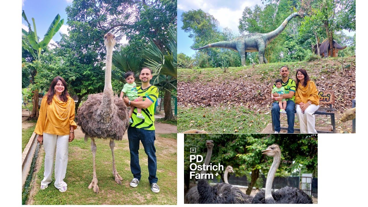 Port Dickson Ostrich Farm and Jurassic Land - An Insider's Review - YouTube