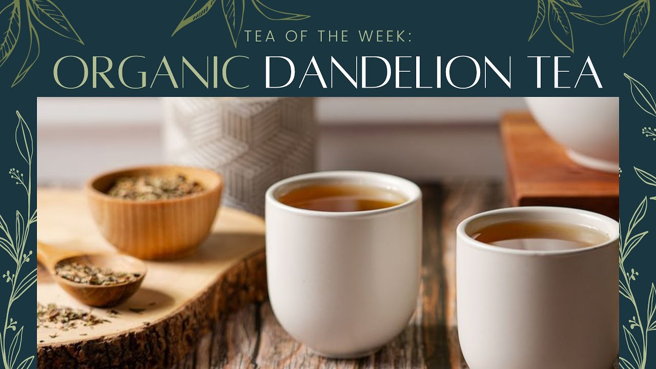 Organic Dandelion Tea 💛 | Tea of the Week - YouTube