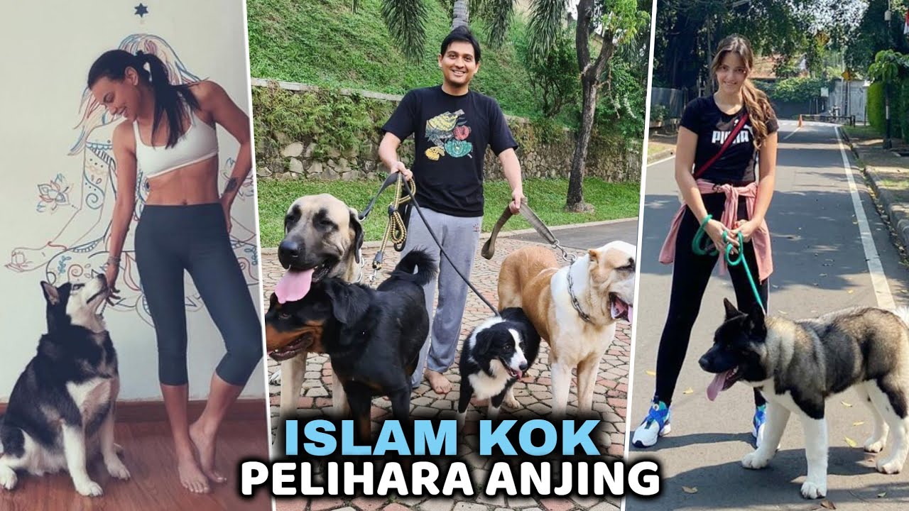 9 Artis Beragama Islam yang Pelihara Anjing - YouTube