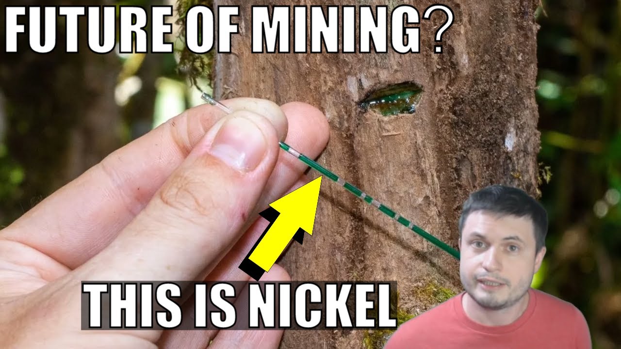 Phytomining - Mining With Trees - Could Save Our Planet - YouTube